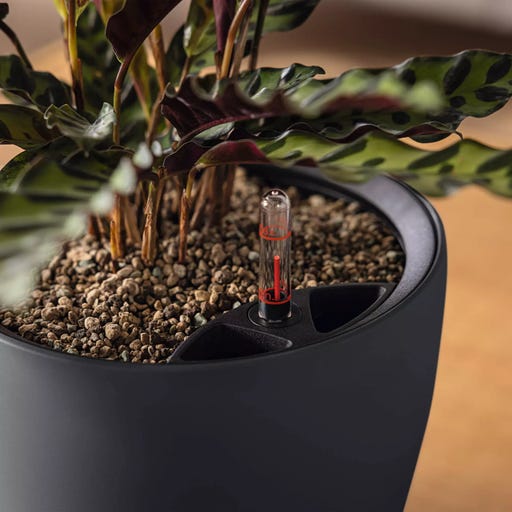Lechuza CLASSICO Color LS 21 Planter - Interismo Online Shop Global