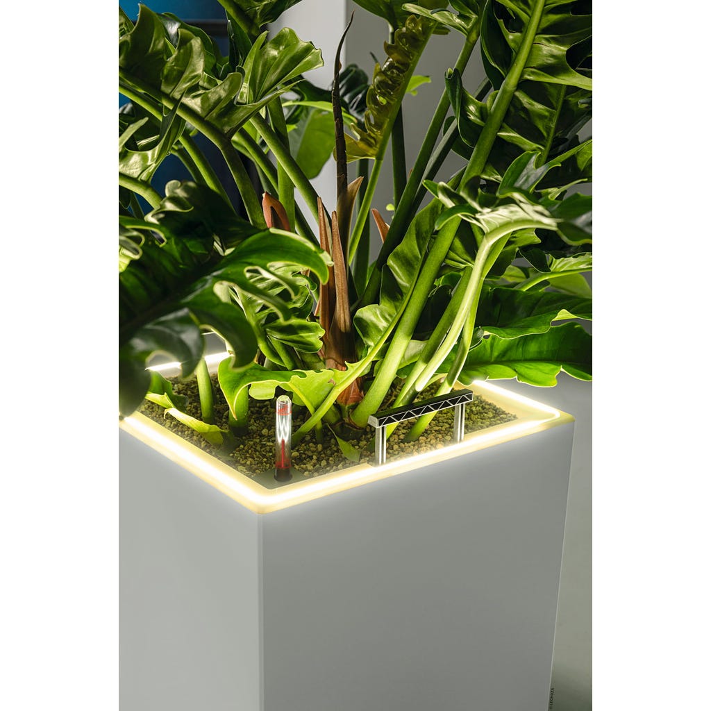 Lechuza CANTO Premium 40 High Planter, LED - Interismo Online Shop Global