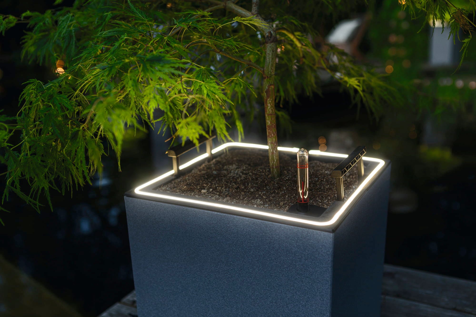 Lechuza Pflanzgefäß CANTO Stone 40 LED high - Interismo Onlineshop